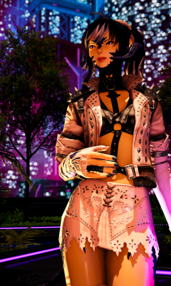 Solution: Neinlife | Eorzea Collection