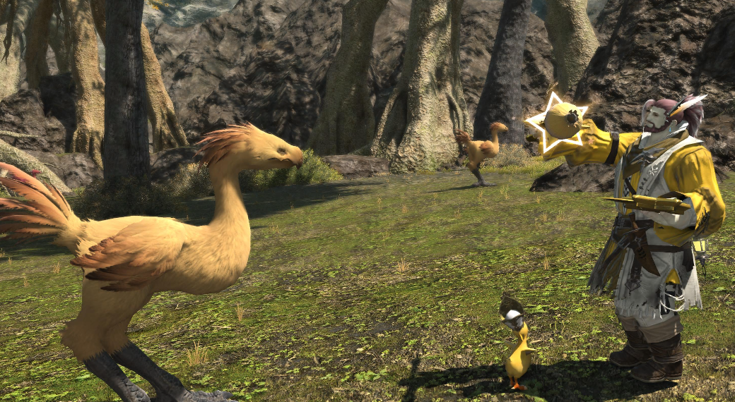 The Chocobo artist | Eorzea Collection