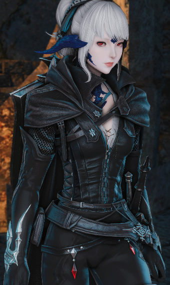 Deepshadow Adventurer | Eorzea Collection