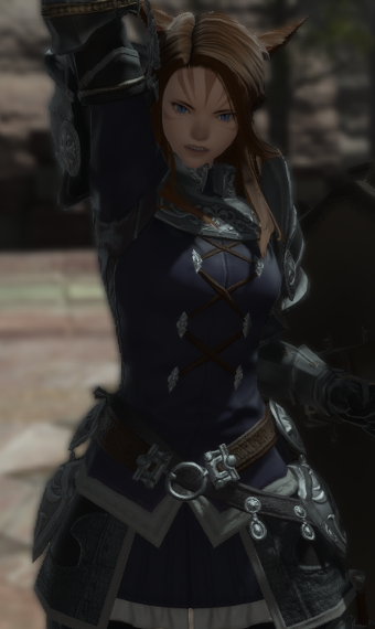 Fashion Fantasy : Paladins of ishgard | Eorzea Collection