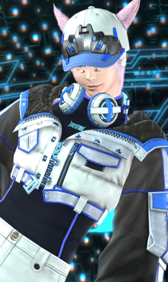 [hacker voice] I'm in | Eorzea Collection