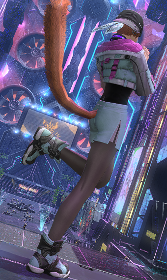 Solution Citizen | Eorzea Collection