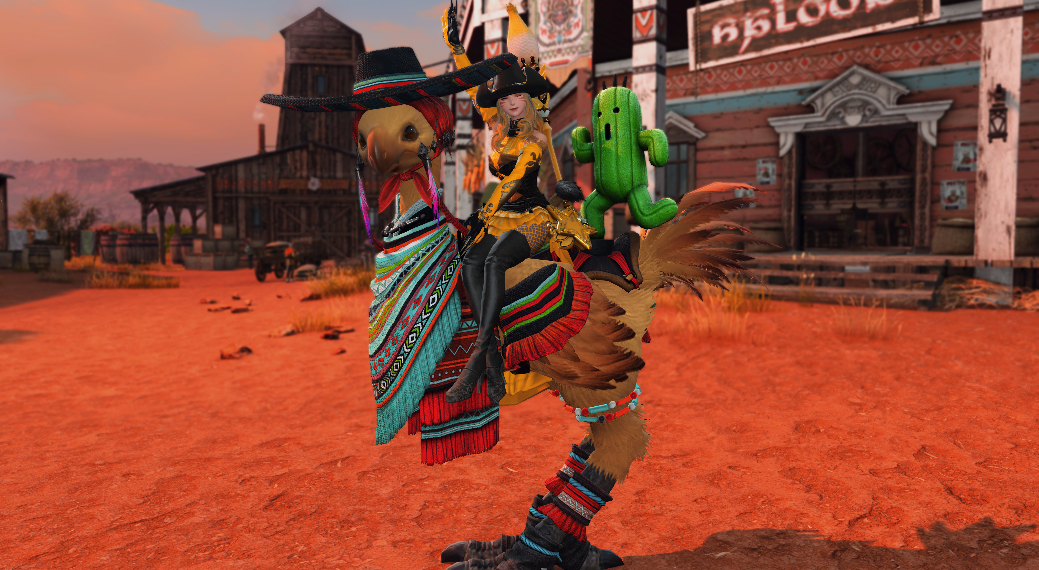 Meowdy Partner | Eorzea Collection