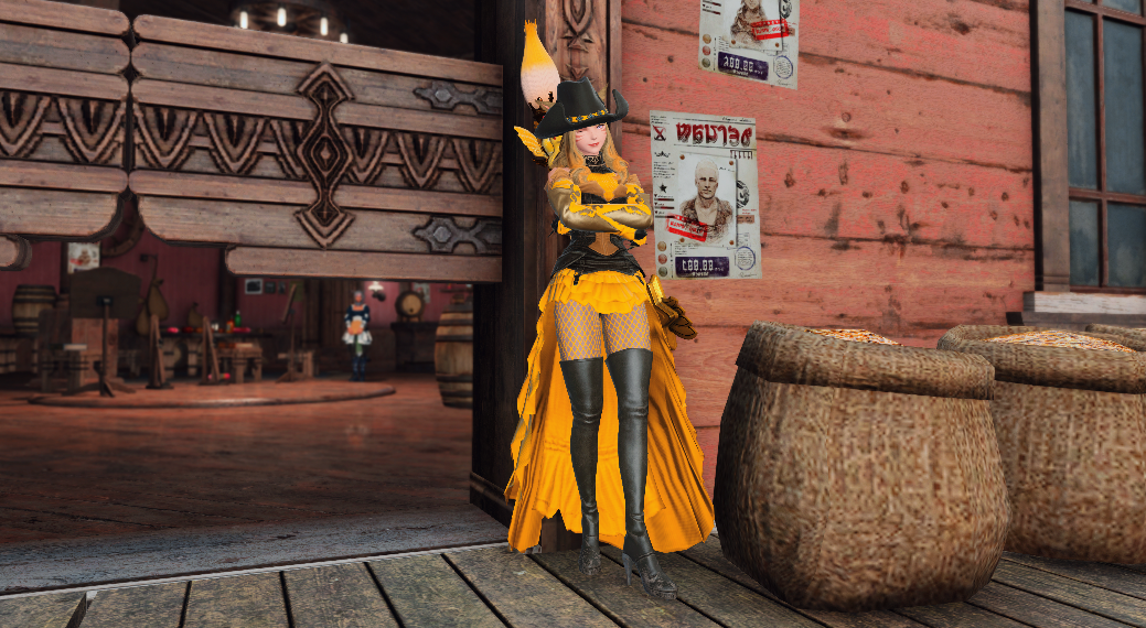 Meowdy Partner | Eorzea Collection