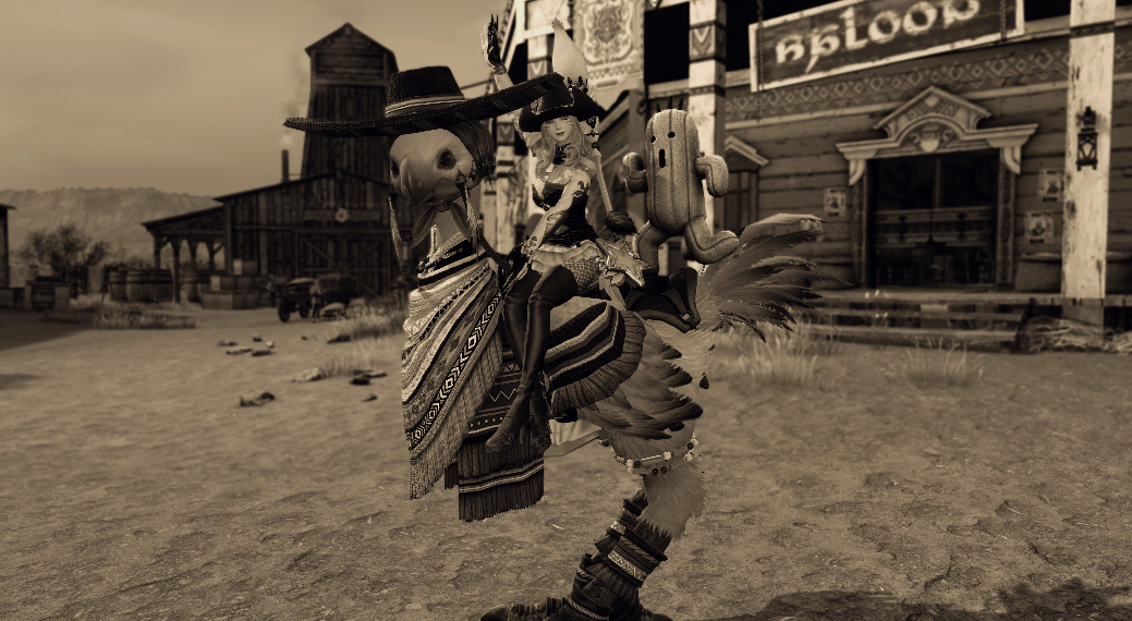 Meowdy Partner | Eorzea Collection