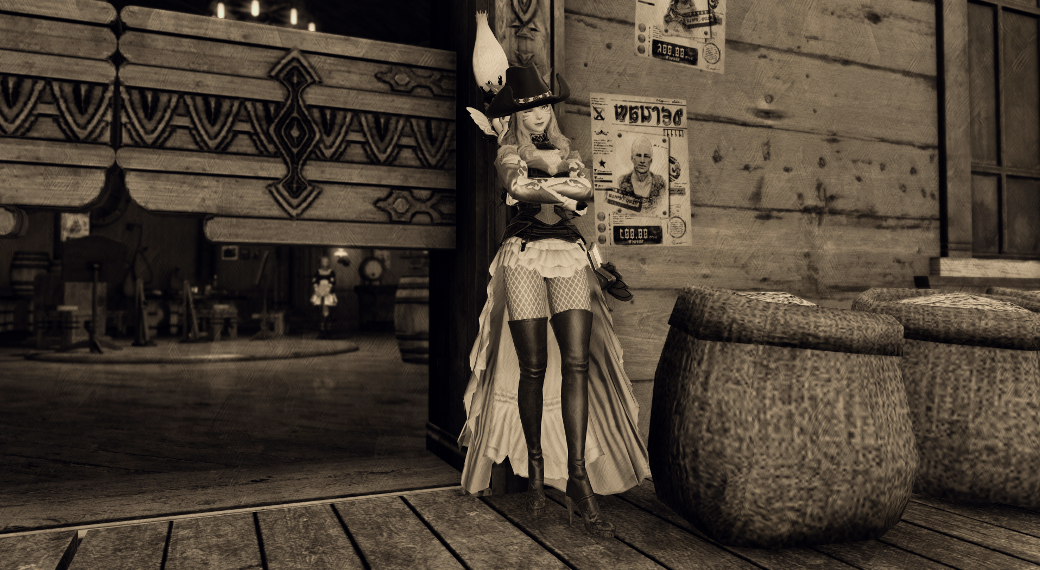 Meowdy Partner | Eorzea Collection