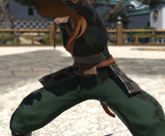 Fashion Fantasy : Ninja behind you | Eorzea Collection