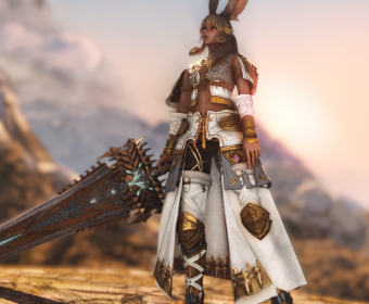 Warrior of Solace | Eorzea Collection