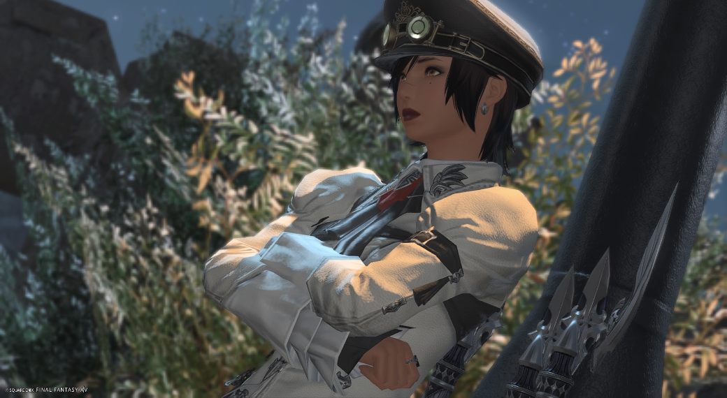 combat healer. | Eorzea Collection