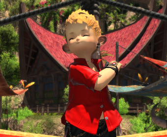 Fever Dream | Eorzea Collection