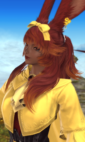 CHOCO PICTO | Eorzea Collection