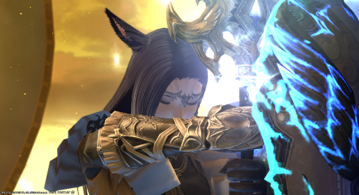 Divine Paladin | Eorzea Collection