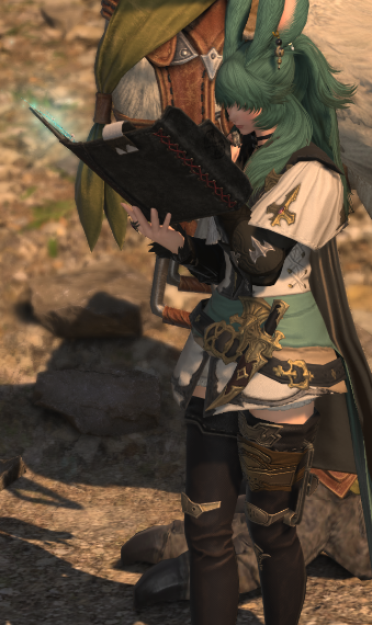 New World Explorer | Eorzea Collection