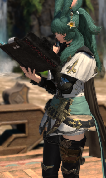 New World Explorer | Eorzea Collection