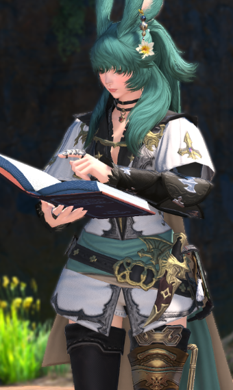 New World Explorer | Eorzea Collection