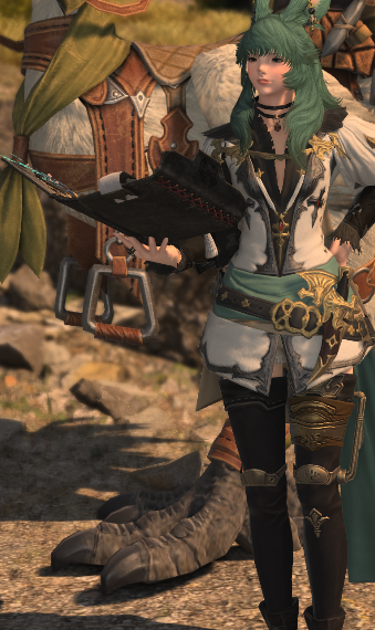 New World Explorer | Eorzea Collection