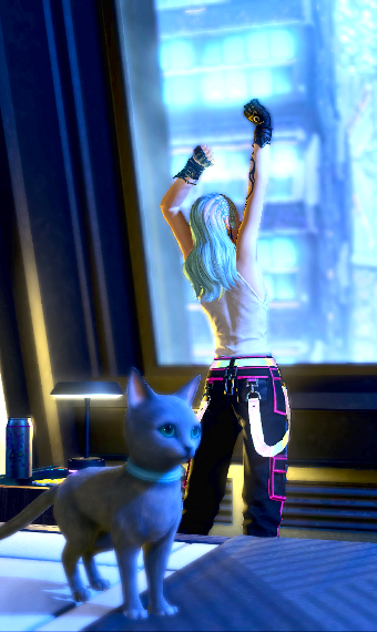 Cyberpunk | Eorzea Collection