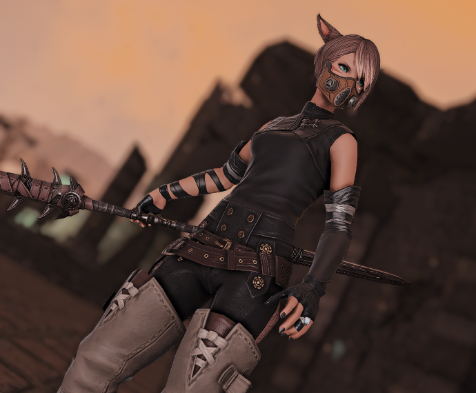 [Z] - Raider | Eorzea Collection