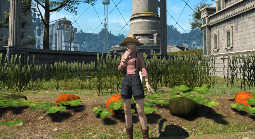 Lil Farmer | Eorzea Collection