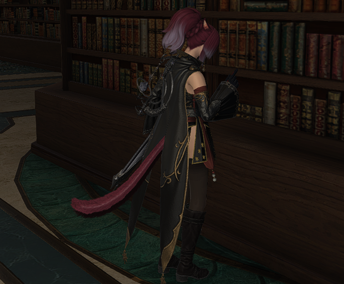 Stellar Archivist Eorzea Collection