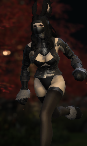 Combat Pony | Eorzea Collection