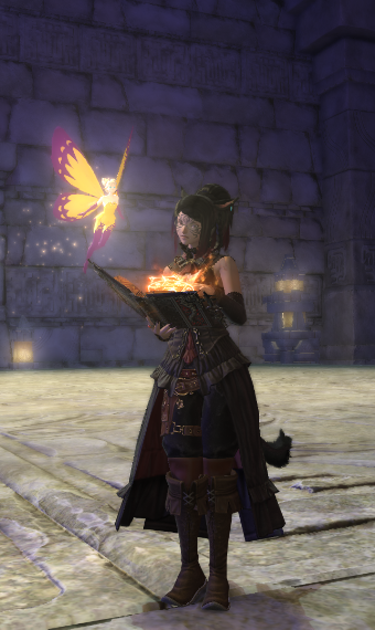 New World Explorer | Eorzea Collection