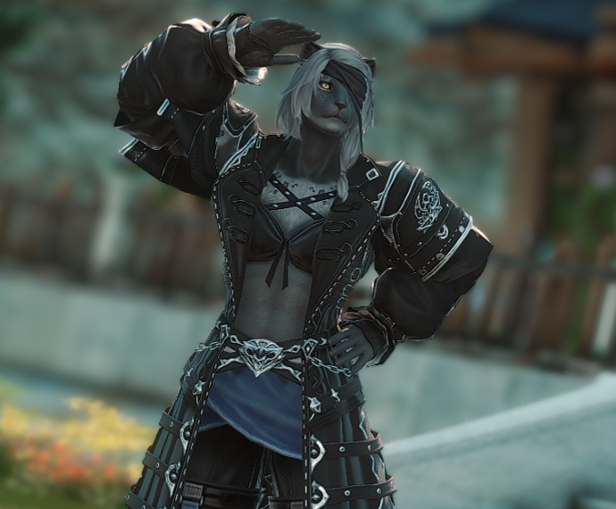 Rogue Healer | Eorzea Collection