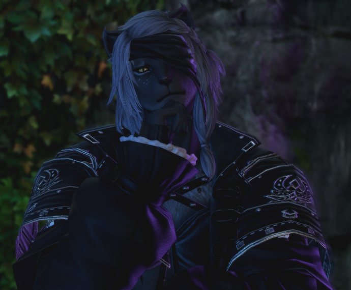 Rogue Healer | Eorzea Collection