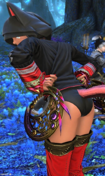 Un Chat Noir | Eorzea Collection