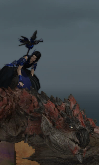 Princess of Dragons | Eorzea Collection