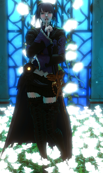 Echo | Eorzea Collection