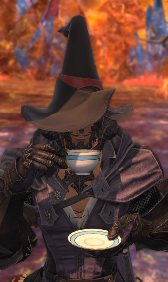 Regulus Regicide, The Red Mage (fall time) | Eorzea Collection