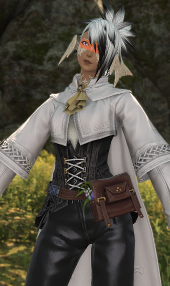 Secretarybird | Eorzea Collection