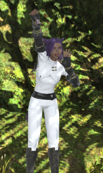 James (Team Rocket) | Eorzea Collection