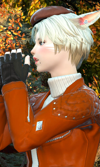 Falling leaves | Eorzea Collection
