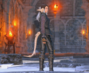 Fourth Wing - Violet Sorrengail | Eorzea Collection