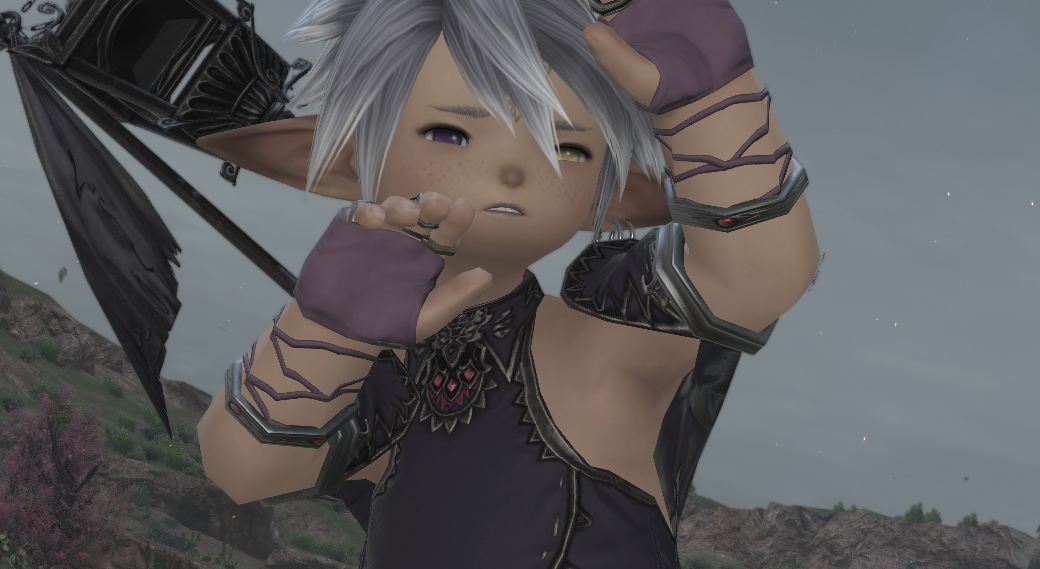 Guiding DarkLight | Eorzea Collection