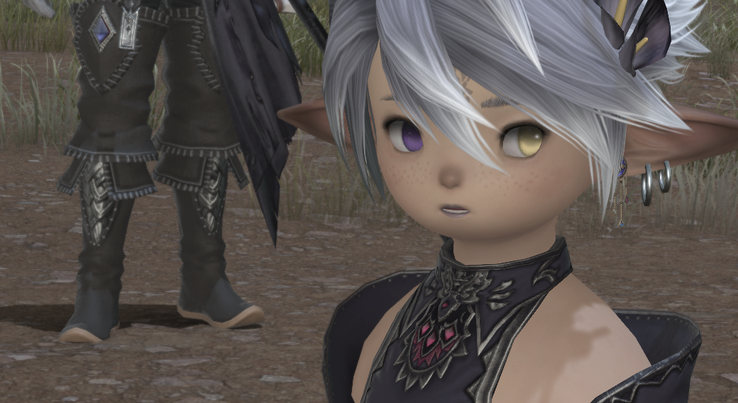 Guiding DarkLight | Eorzea Collection