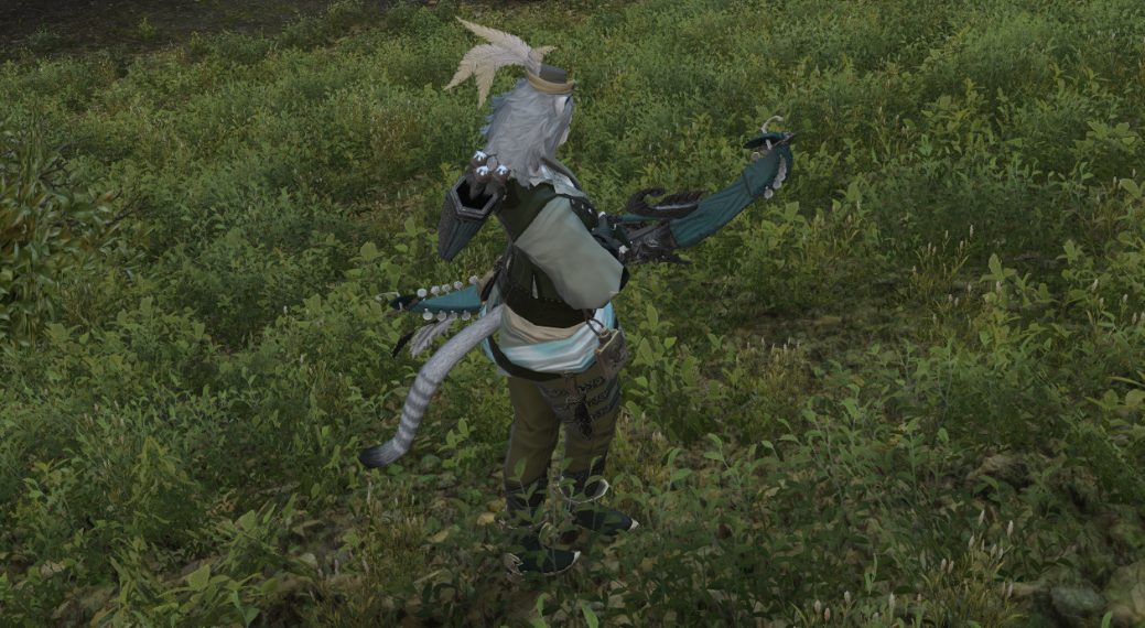 Robin's Hood Bard | Eorzea Collection