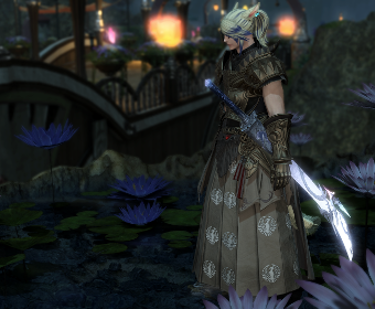 Ronin | Eorzea Collection