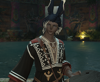 Roaming Artist | Eorzea Collection