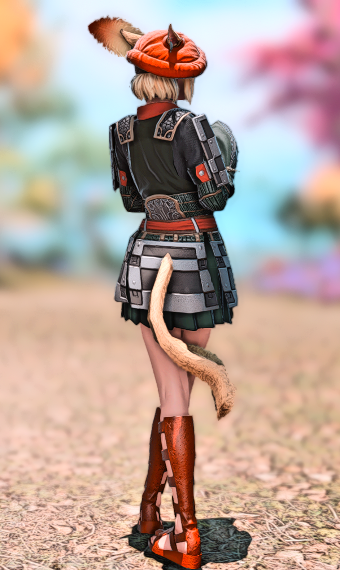 Reflections | Eorzea Collection