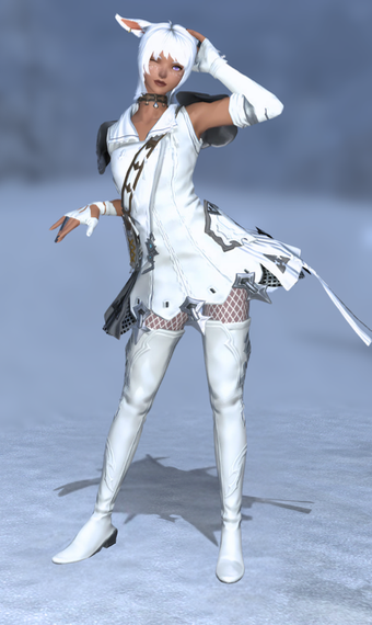 Snow fighter | Eorzea Collection