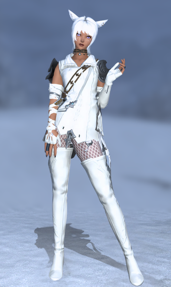 Snow fighter | Eorzea Collection