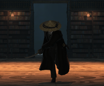 Bamboo Hatted Kim (Library of Ruina) | Eorzea Collection