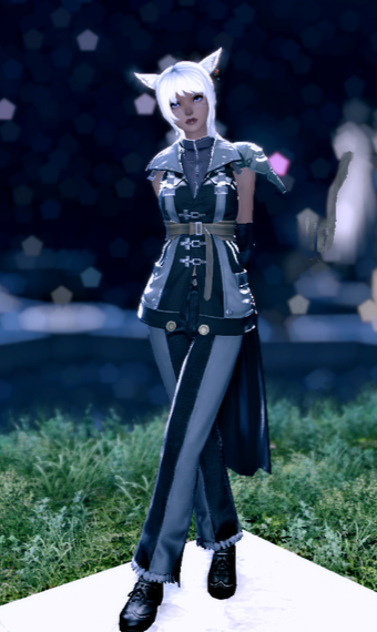 A walk through the night | Eorzea Collection
