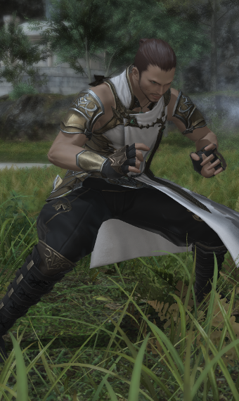 Forum Ascetic | Eorzea Collection