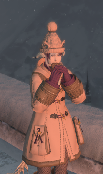 Winter Outfit | Eorzea Collection