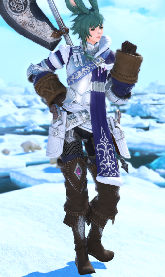 Winter Knight | Eorzea Collection