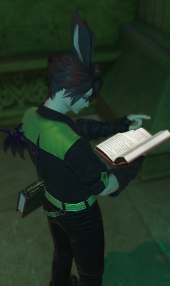 Grunge Academia | Eorzea Collection